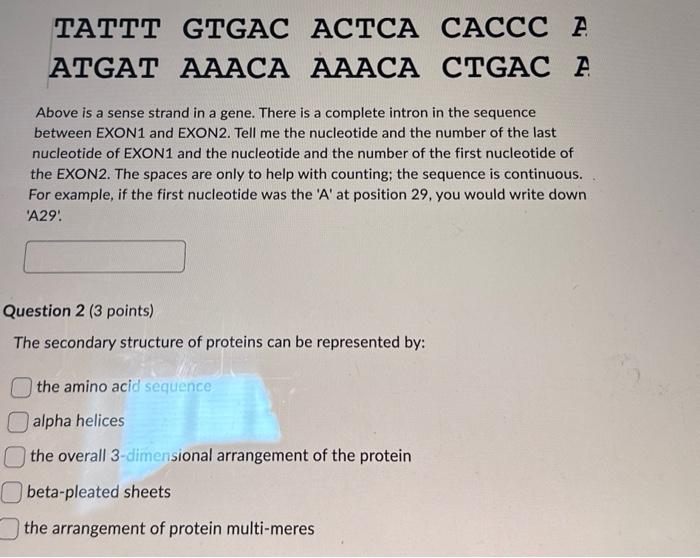 Solved TATTT GTGAC ACTCA CACCC ATGAT AAACA AAACA CTGAC Above | Chegg.com