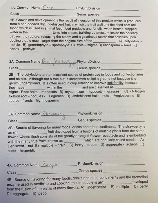 Solved 1A. Common Name Corn Phylum/Division Class Genus | Chegg.com
