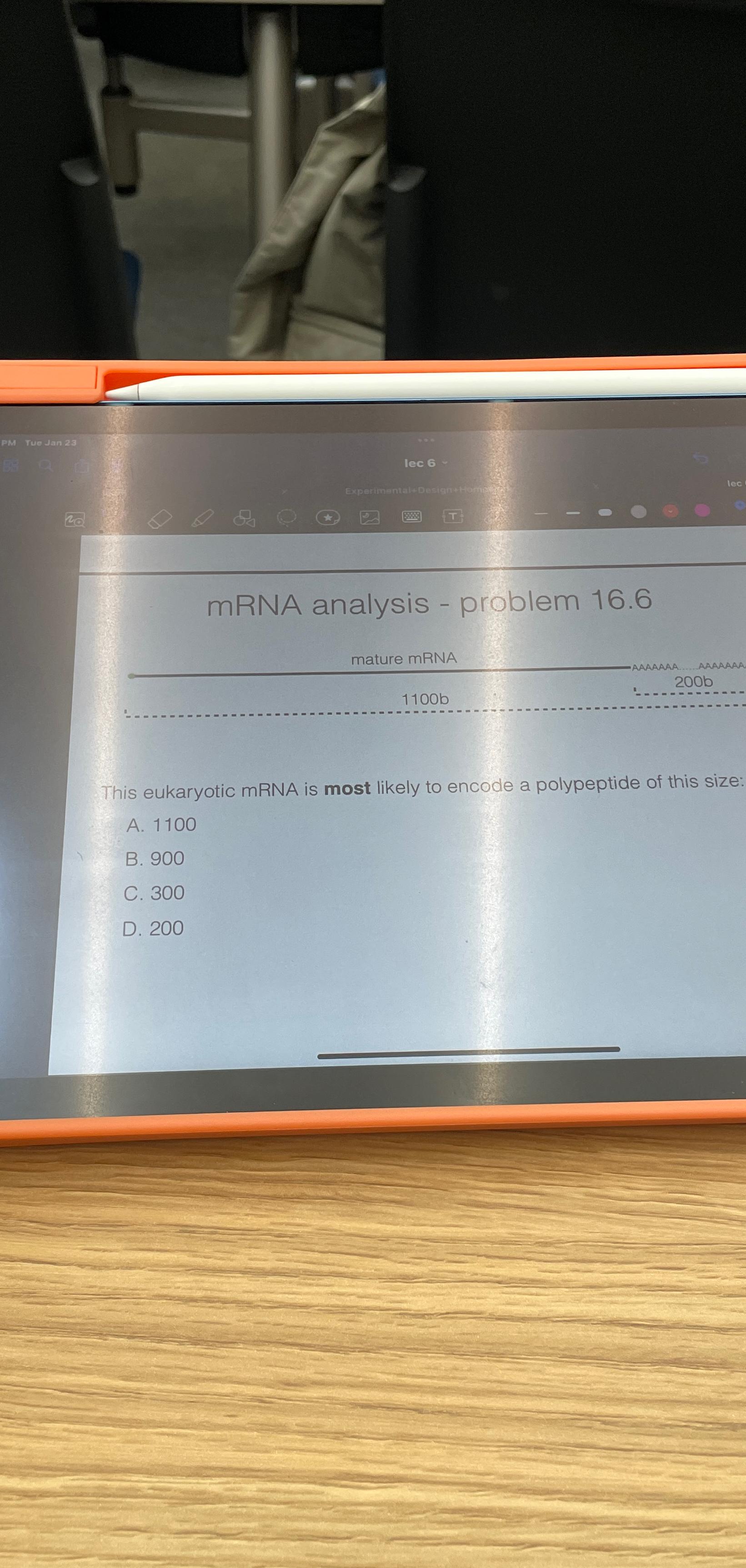 Solved mRNA analysis - ﻿problem 16.6mature | Chegg.com