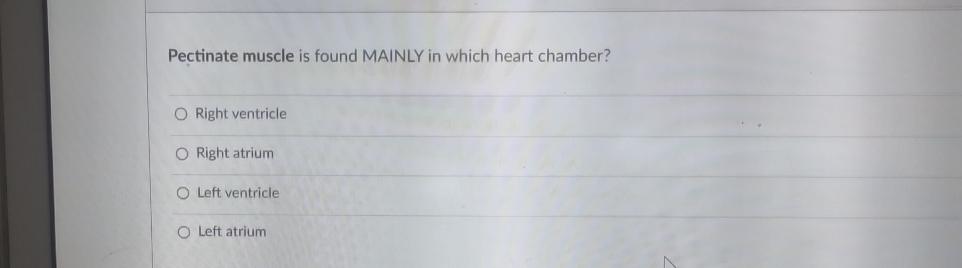 Solved Pectinate muscle is found MAINLY in which heart | Chegg.com