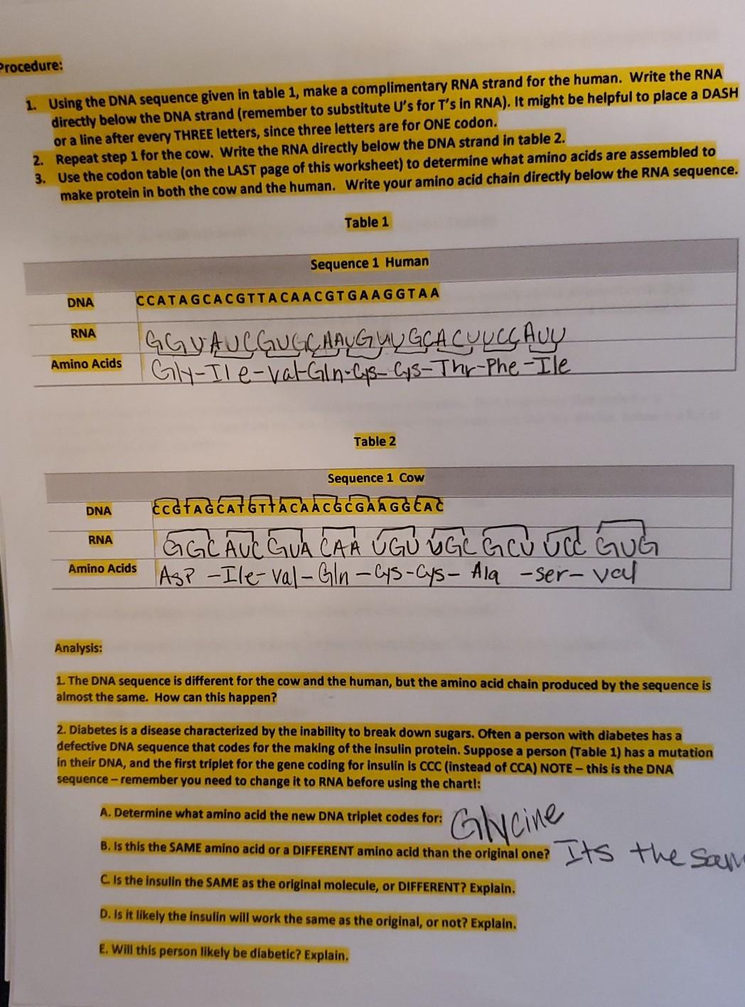 Solved Procedure: 1. Using the DNA sequence given in table | Chegg.com