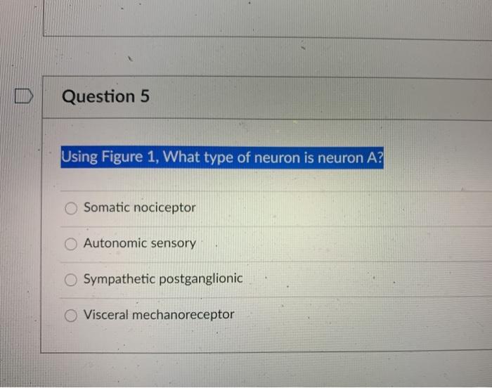 Solved Location Q Neuron A Small Intestine A Neuron B Neuron | Chegg.com