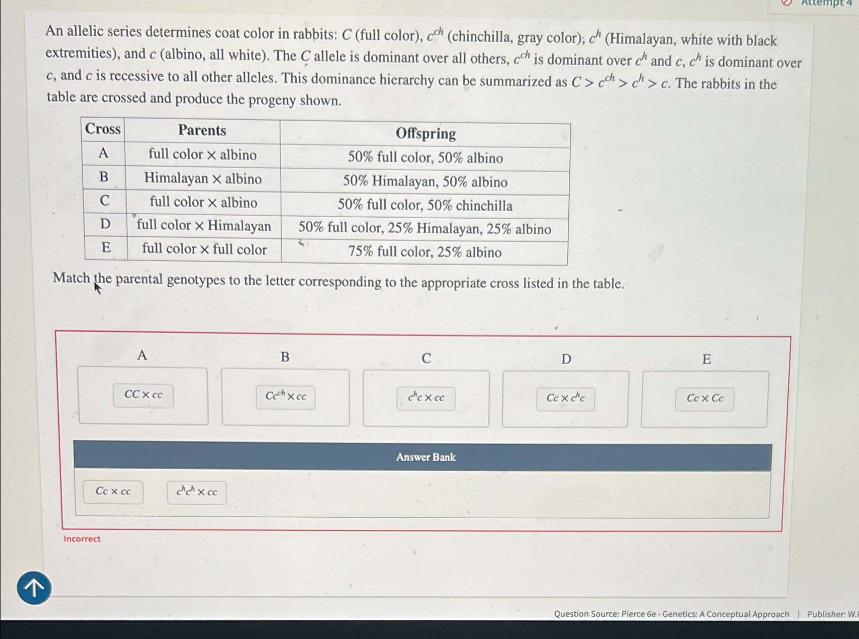 Solved An allelic series determines coat color in rabbits: | Chegg.com