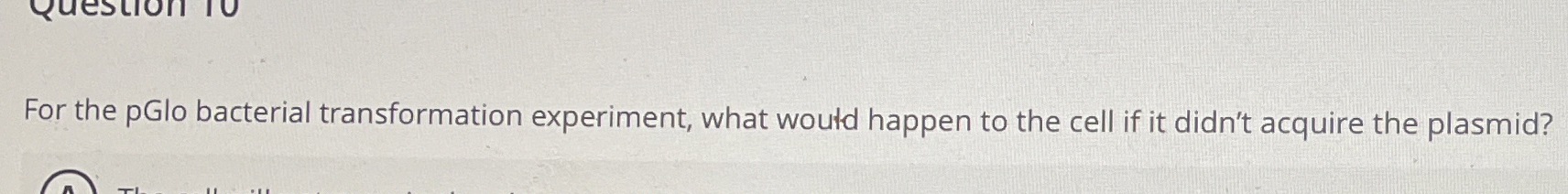 Solved For the pGlo bacterial transformation experiment, | Chegg.com