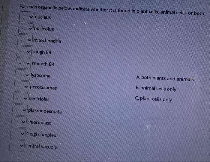 Solved Match the organelle with its function. (Some answer | Chegg.com