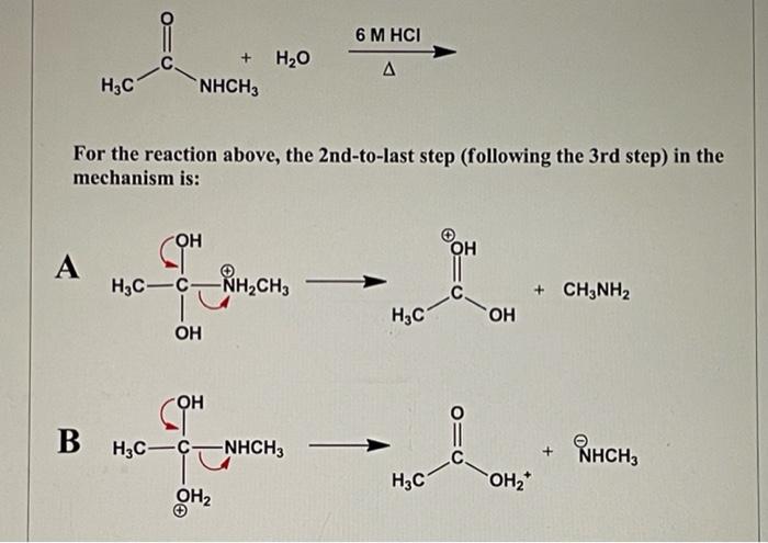 Solved 6 M HCI + H2O NHCH Δ H3C For the reaction above, the | Chegg.com