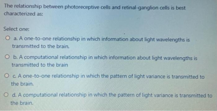 Solved The relationship between photoreceptive cells and | Chegg.com