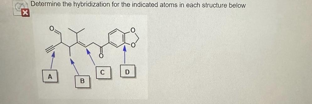 Solved Determine The Hybridization For The Indicated Atoms