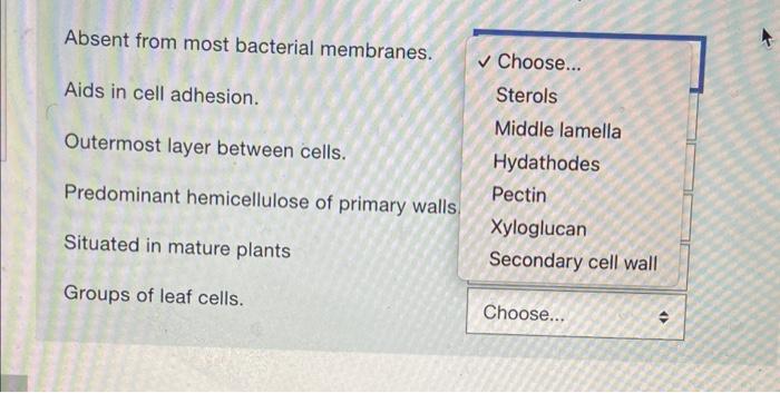 Solved Absent from most bacterial membranes. Aids in cell | Chegg.com