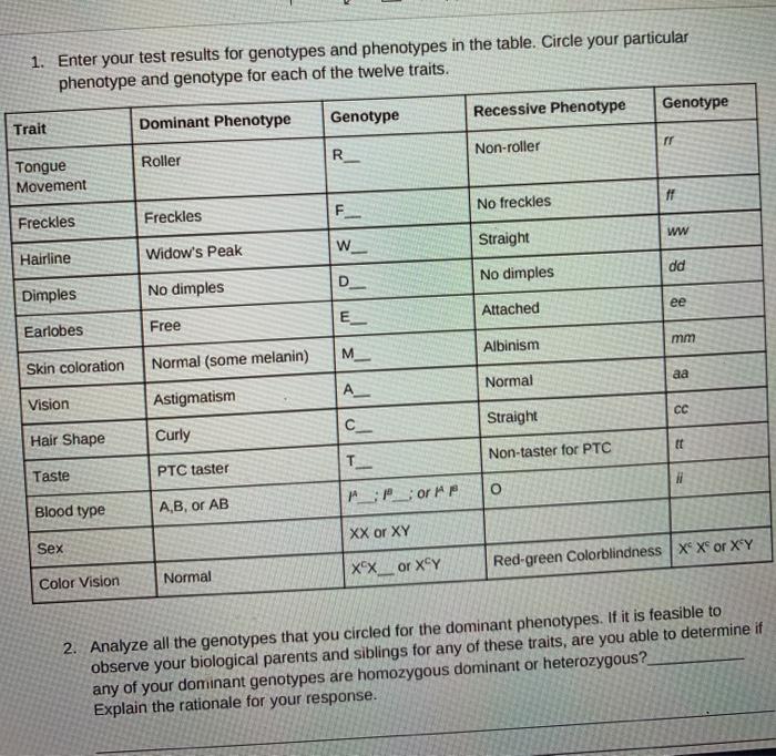 Solved 1. Enter your test results for genotypes and | Chegg.com