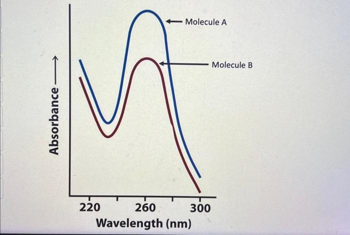 Solved the graph below shows the absorbance soectrum of | Chegg.com