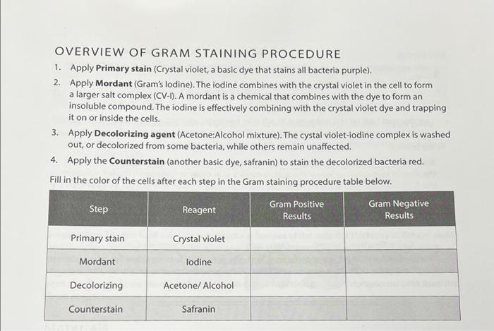 Solved OVERVIEW OF GRAM STAINING PROCEDURE 1. Apply Primary | Chegg.com