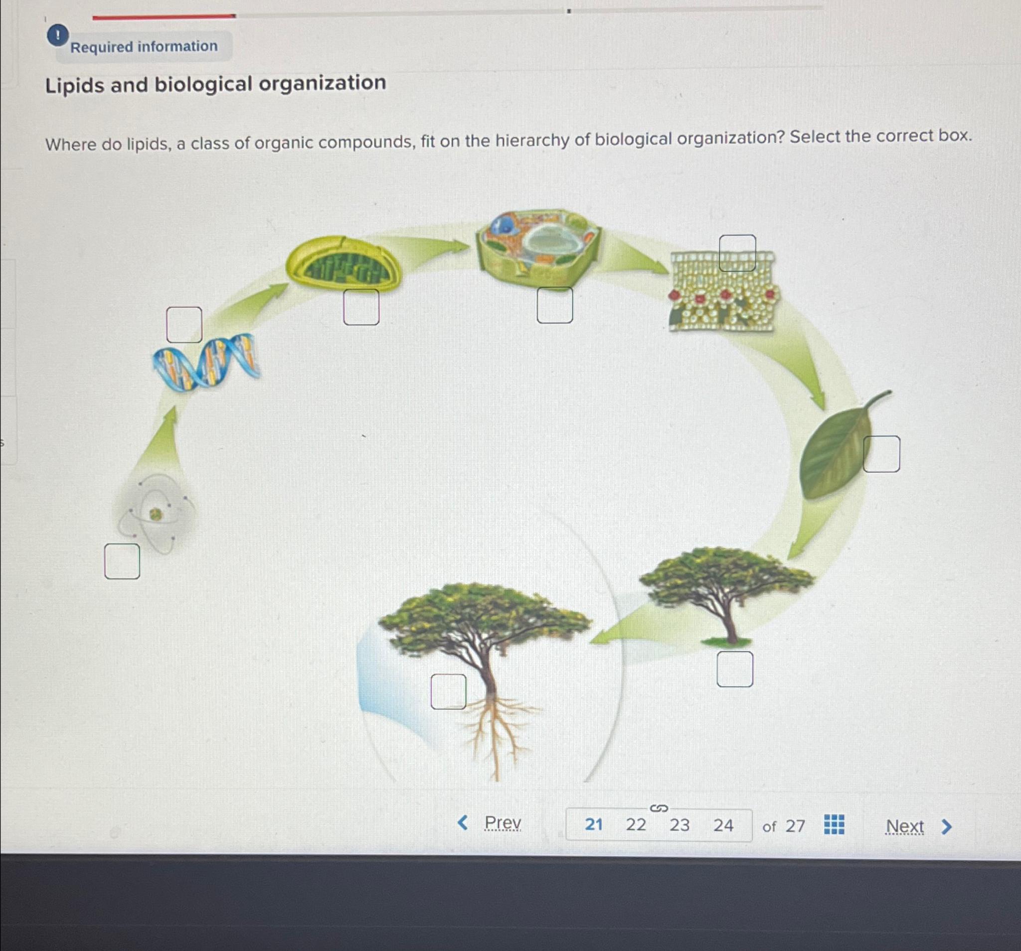 Solved Required informationLipids and biological | Chegg.com