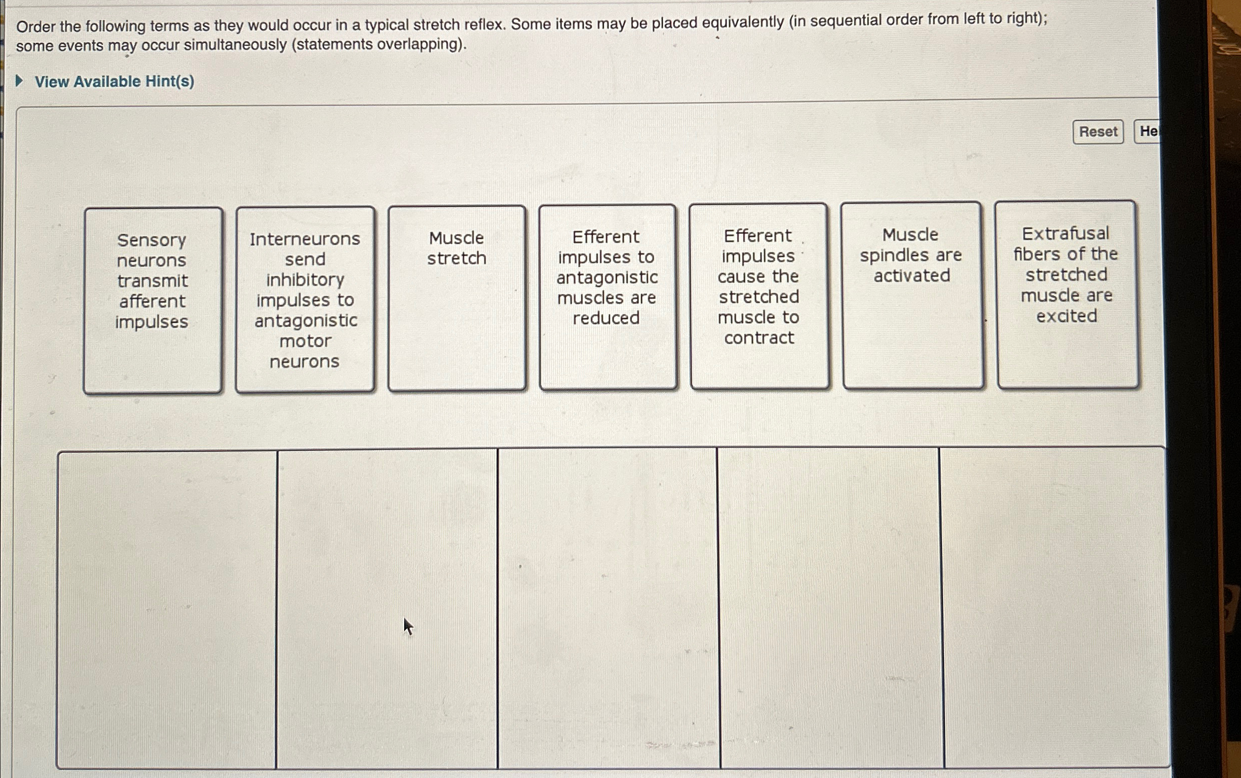 Solved Order the following terms as they would occur in a | Chegg.com