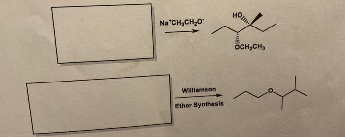 Solved Williamson Ether Synthesis | Chegg.com