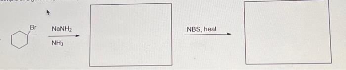 Solved NH3NaNH2 NBS, heat | Chegg.com