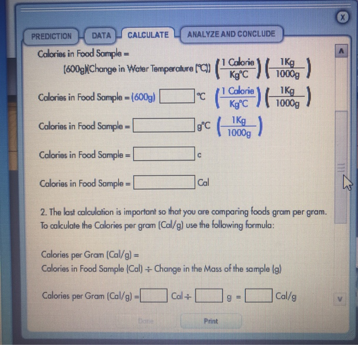 What Is The Formula To Calculate Calories In Food | Deporecipe.co