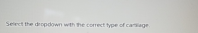 Solved Select the dropdown with the correct type of | Chegg.com