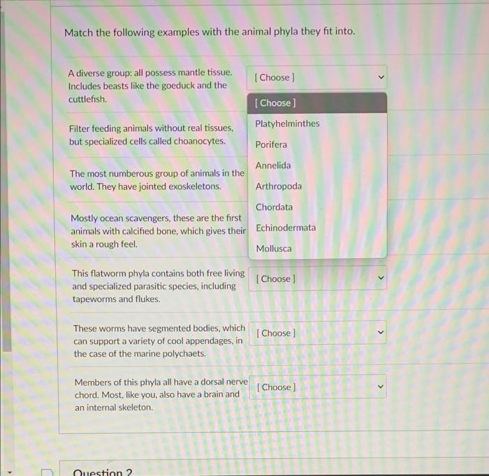 Solved Match the following examples with the animal phyla | Chegg.com