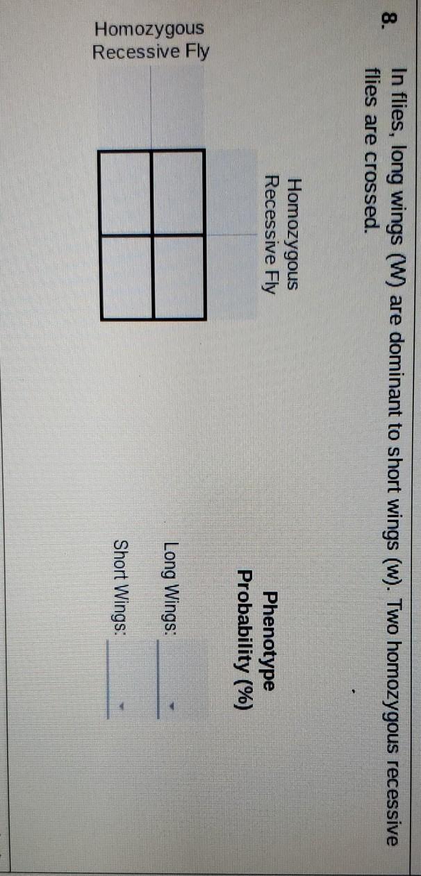 Solved 8. In flies, long wings (W) are dominant to short | Chegg.com