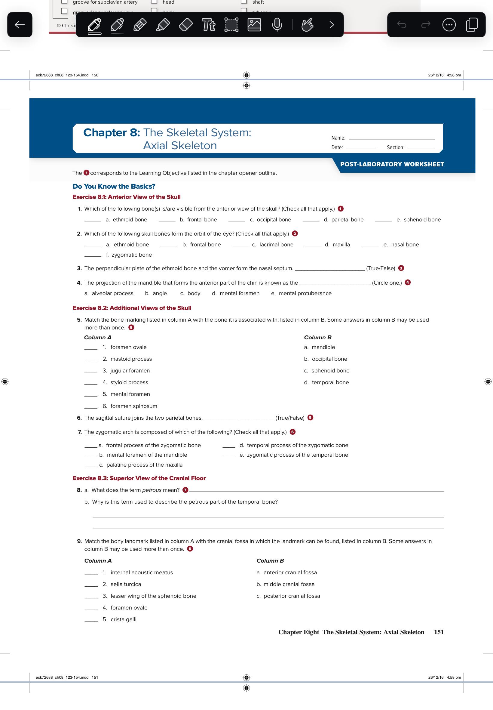 Solved Chapter 8: The Skeletal System:Name:Axial | Chegg.com