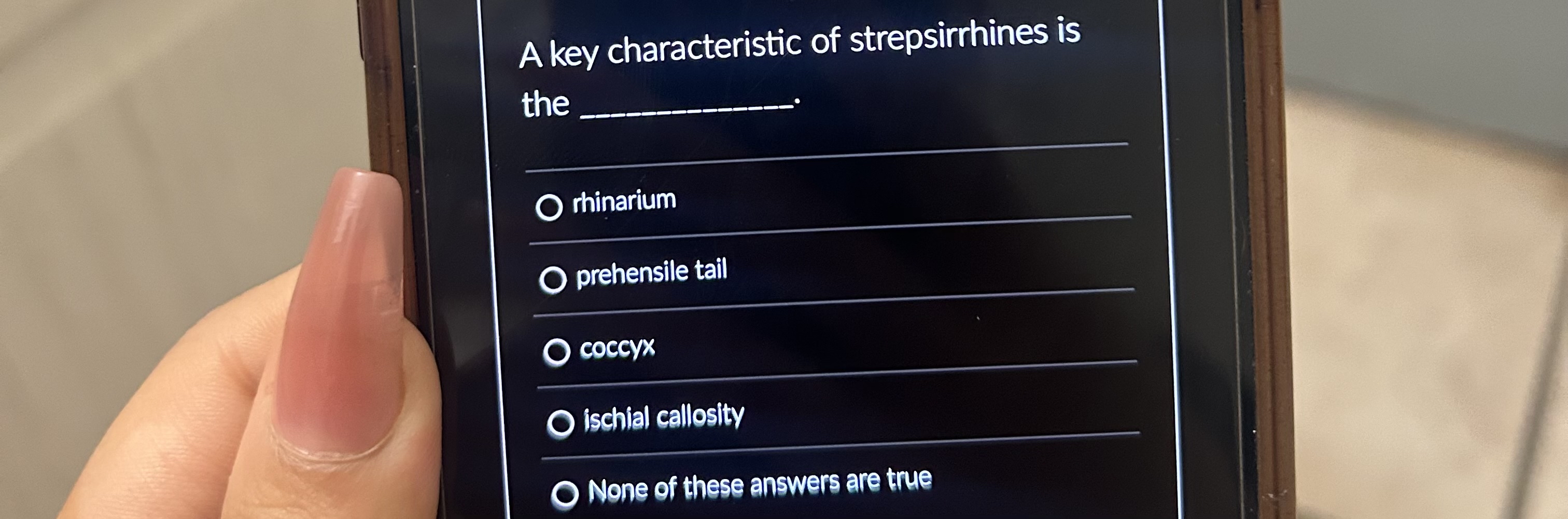 A key characteristic of strepsirrhines is the q, q, | Chegg.com