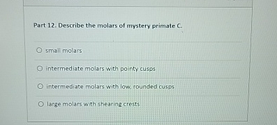 Solved Part 12. ﻿Describe the molars of mystery primate | Chegg.com