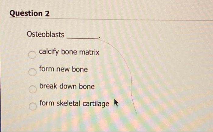 Solved Question 2 Osteoblasts calcify bone matrix form new | Chegg.com