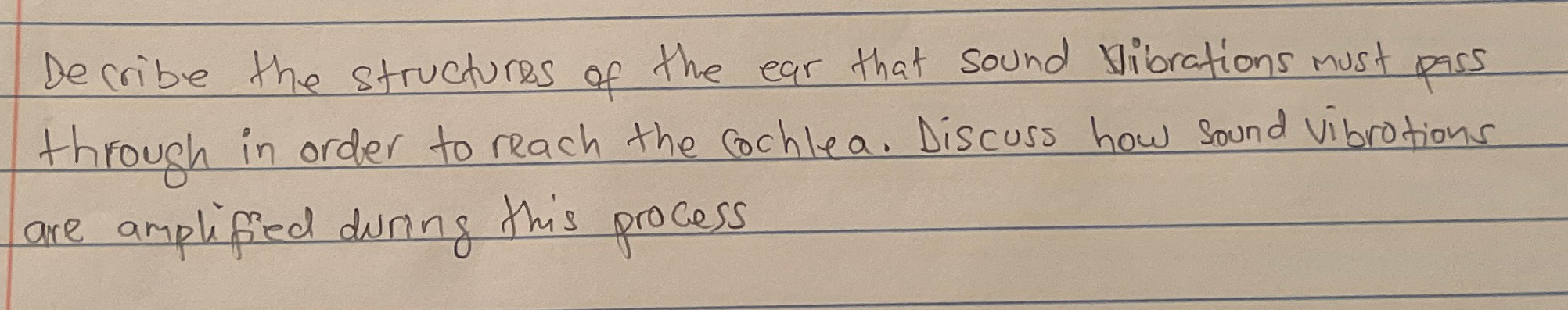 Solved De cribe the structures of the ear that sound | Chegg.com