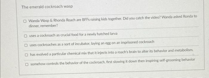 Solved The emerald cockroach wasp Wanda Wasp & Rhonda Roach | Chegg.com