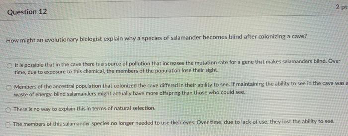 Solved 2 pt Question 11 A genetic mutation causes a rabbit | Chegg.com