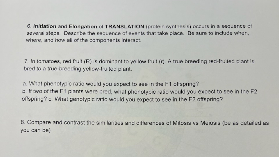 Solved Initiation and Elongation of TRANSLATION (protein | Chegg.com