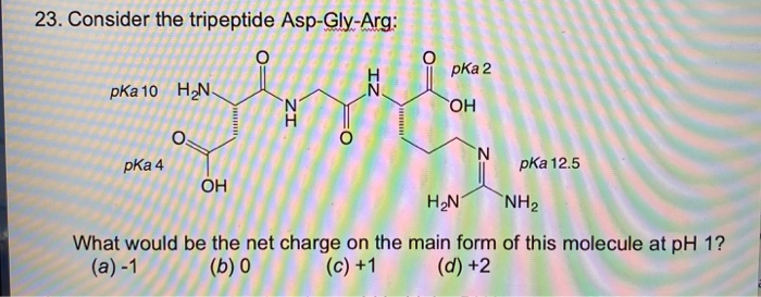 Solved 23. Consider the tripeptide Asp-Gly-Arg: o pka 2 pka | Chegg.com