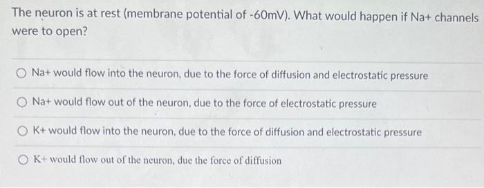 Solved The neuron is at rest (membrane potential of -60mV). | Chegg.com