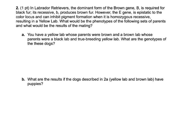 Solved can someone help me on 2a-2b please im confused. i | Chegg.com