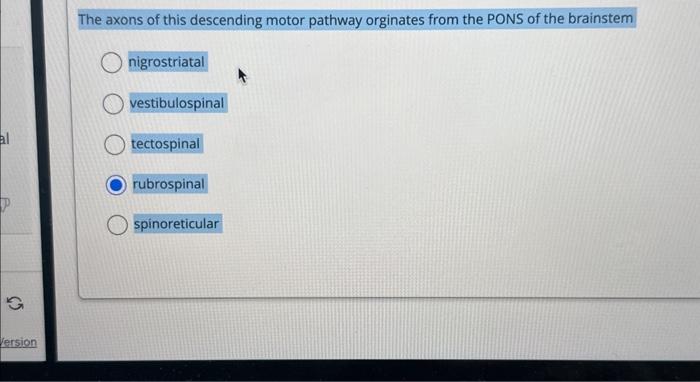 Solved The axons of this descending motor pathway orginates | Chegg.com