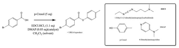 Solved This IR is from my esterification lab. Can you help | Chegg.com