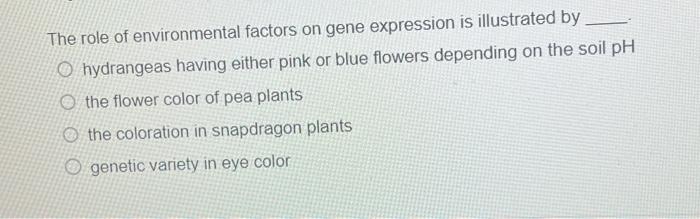 Solved The role of environmental factors on gene expression | Chegg.com
