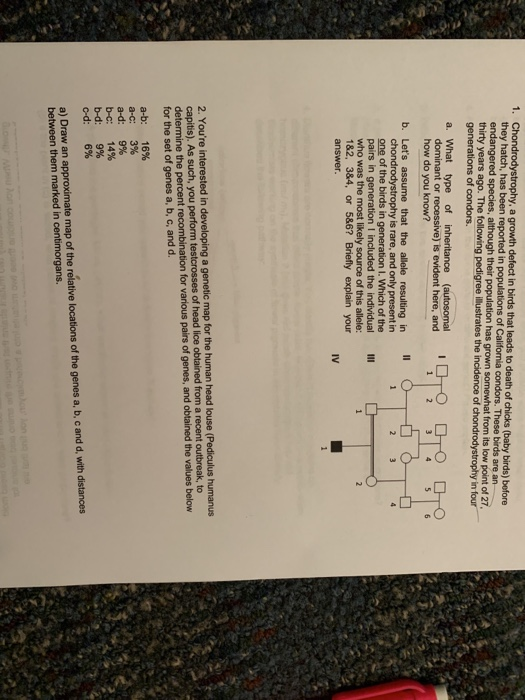 Solved 1. Chondrodystrophy, a growth defect in birds that | Chegg.com