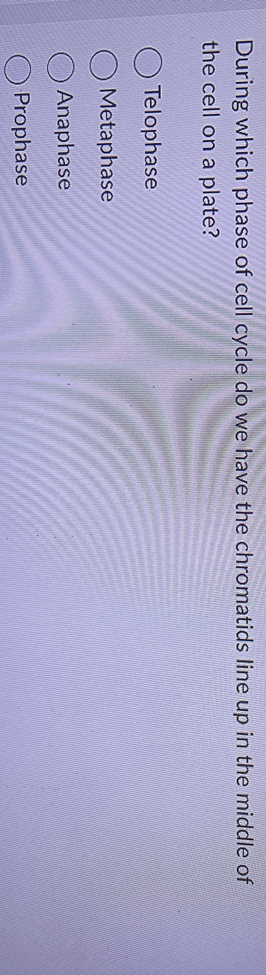 Solved During which phase of cell cycle do we have the | Chegg.com