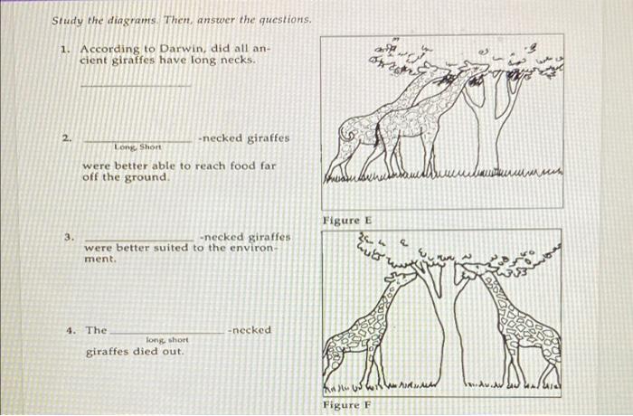 Solved Study the diagrams. Then, answer the questions. 1. | Chegg.com