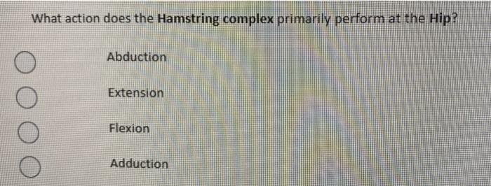Solved What action does the Hamstring complex primarily | Chegg.com
