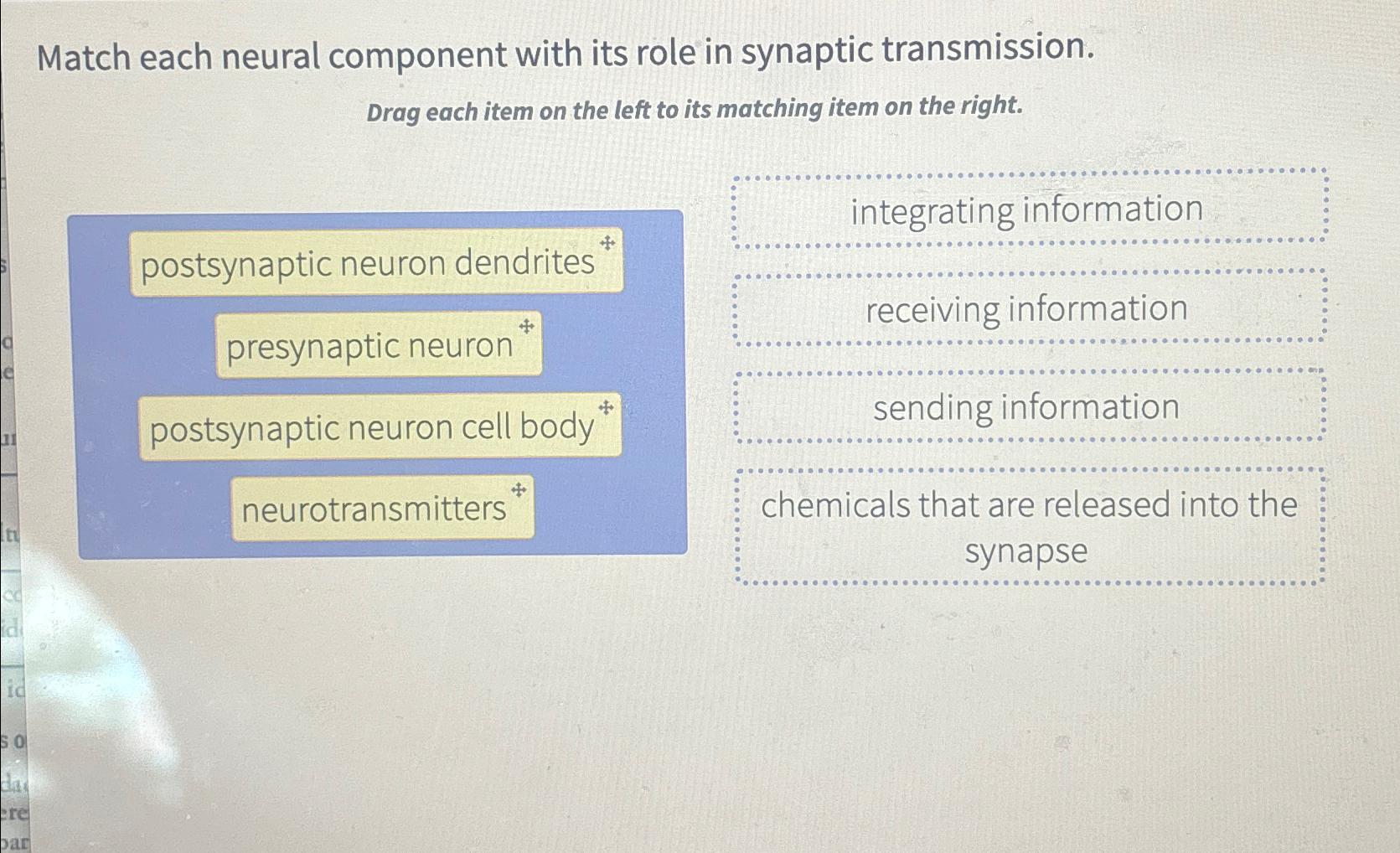 Solved Match each neural component with its role in synaptic | Chegg.com