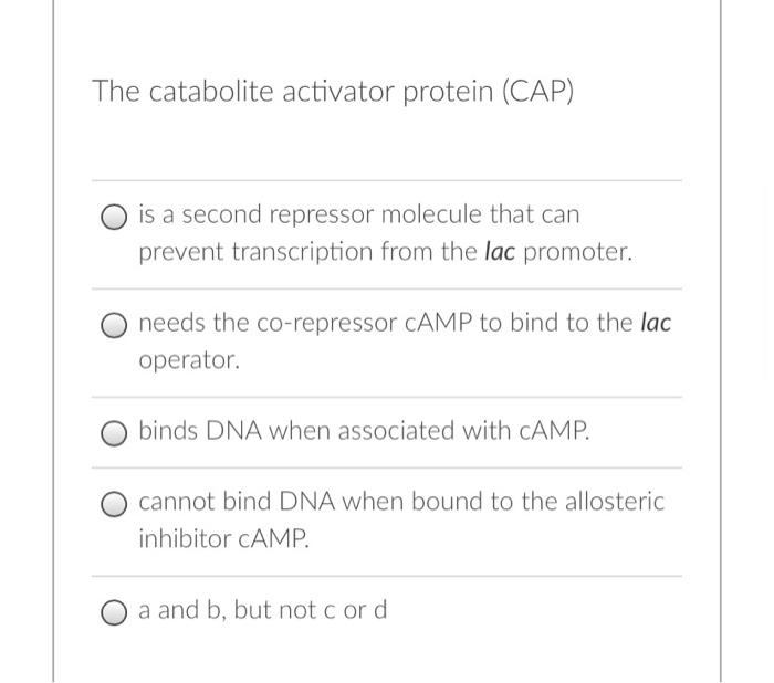 Solved The catabolite activator protein (CAP) is a second | Chegg.com