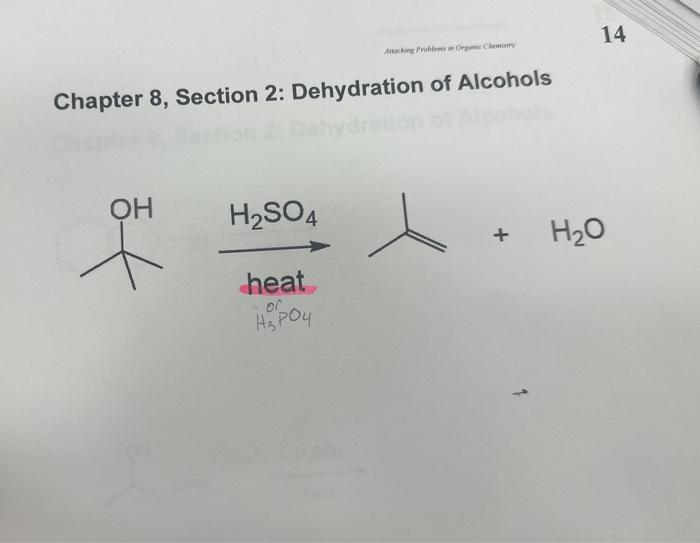 Solved Chapter 8, Section 2: Dehydration of Alcohols | Chegg.com