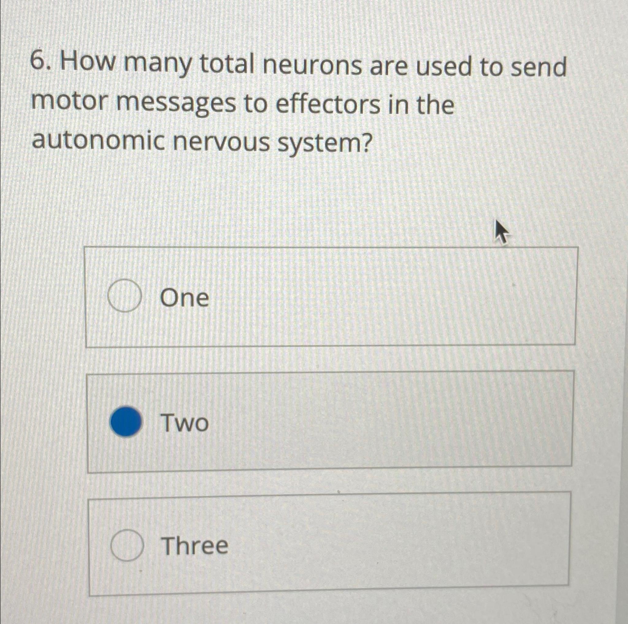 Solved How many total neurons are used to send motor | Chegg.com