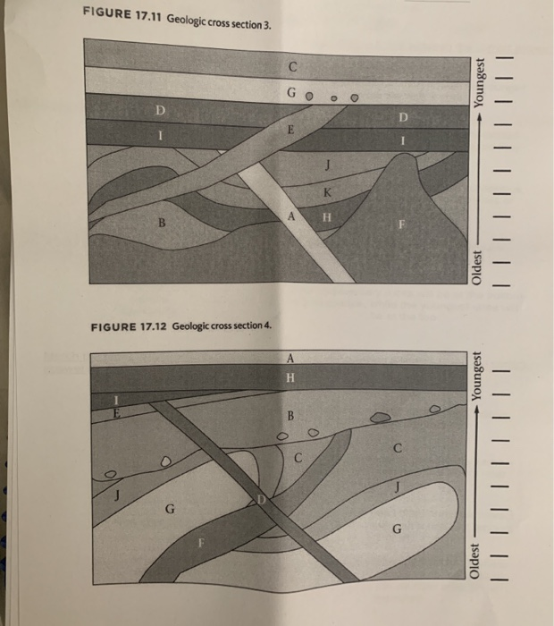 Solved FIGURE 17.11 Geologic cross section 3. Youngest D 1 | Chegg.com