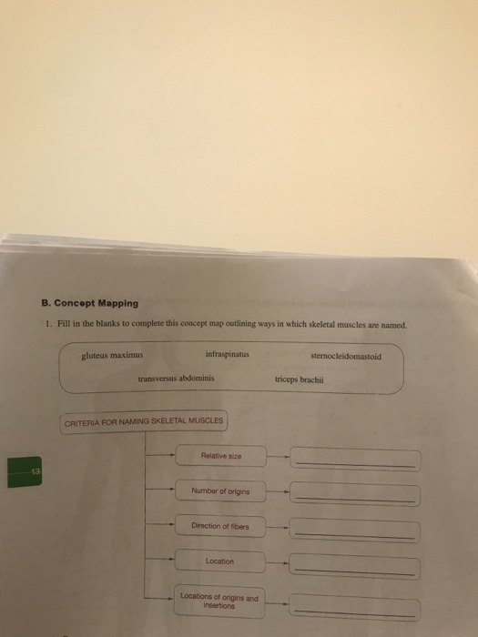 Solved B. Concept Mapping 1. Fill in the blanks to complete | Chegg.com