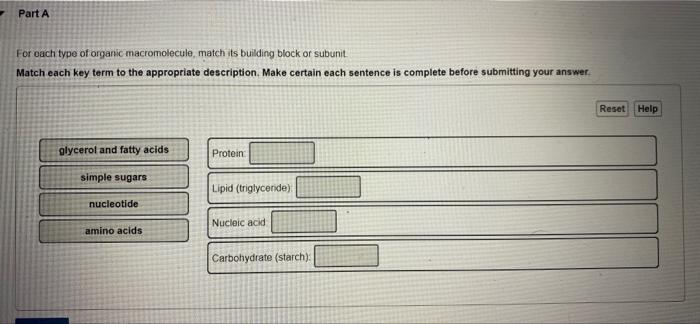 Solved Part A For each type of organic macromolecule, match | Chegg.com