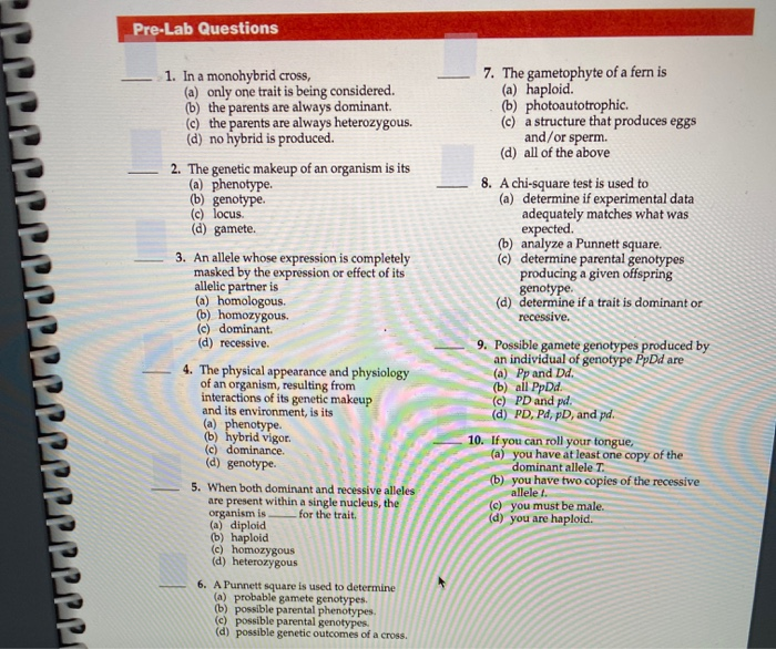 Solved Pre-Lab Questions 1. In a monohybrid cross, (a) only | Chegg.com